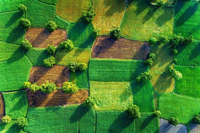 New banks back ICC’s green trade principles – REL Investments Group